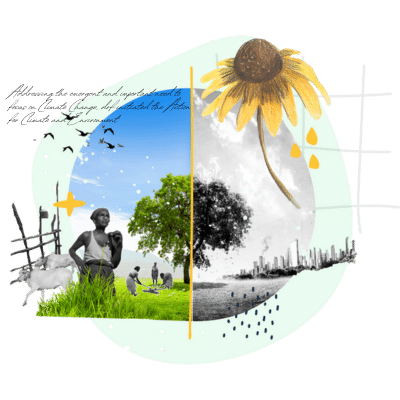 History of Dr. Reddy's Foundation